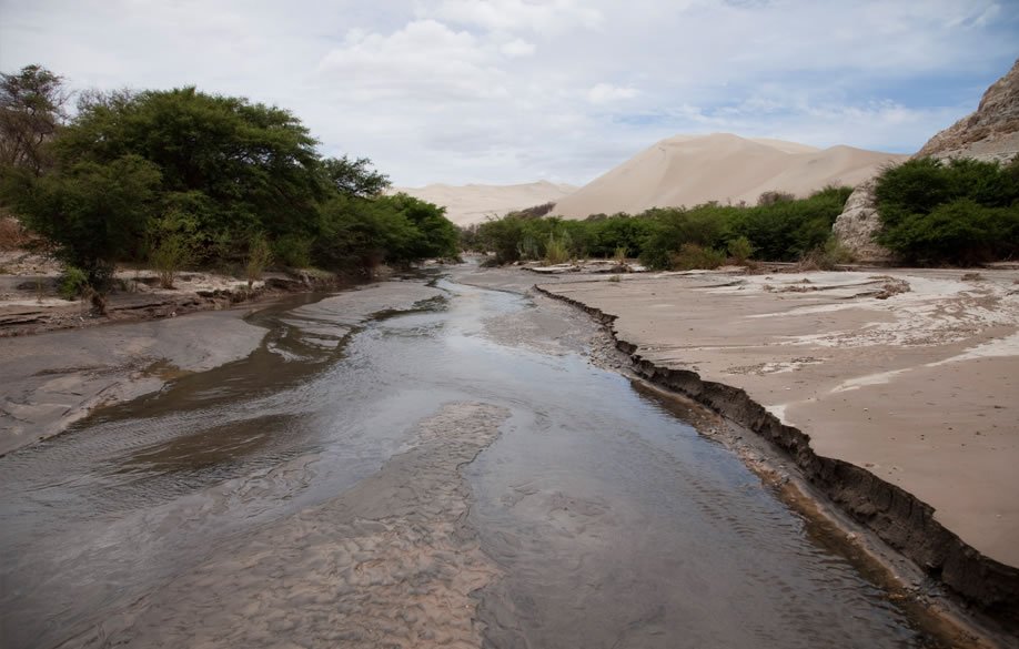 [Especial fotográfico] Usaca: Entre médanos y huarangos milenarios