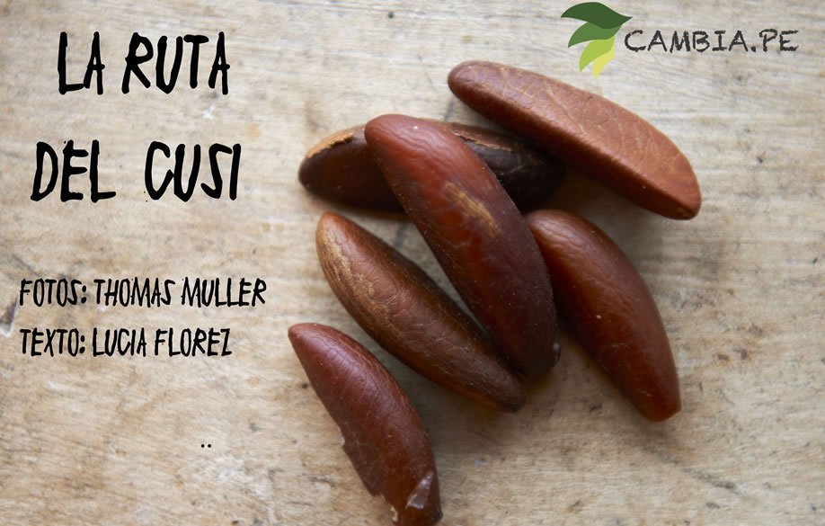 La ruta del cusi