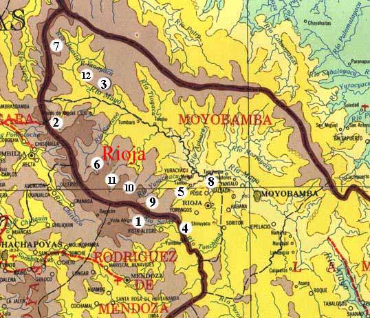 Post: Posible carretera amenaza al Bosque de Protección Alto Mayo y ...