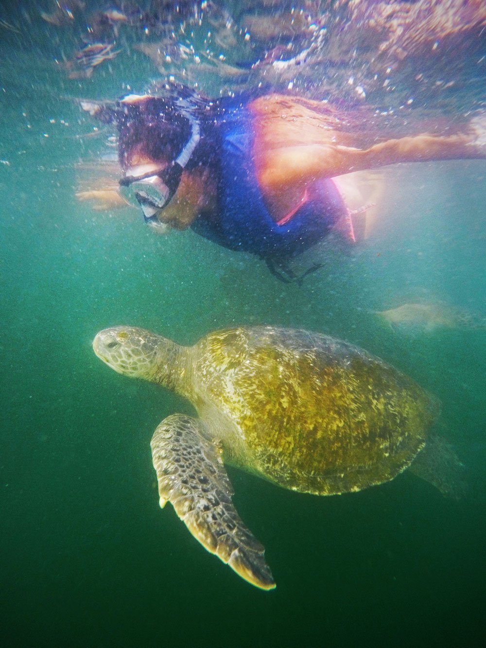 [Especial fotográfico] Conoce los principales atractivos turísticos del ...