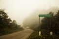 Pasco: alertan que Bosque Sho’llet podría perder más del 50% de su ...
