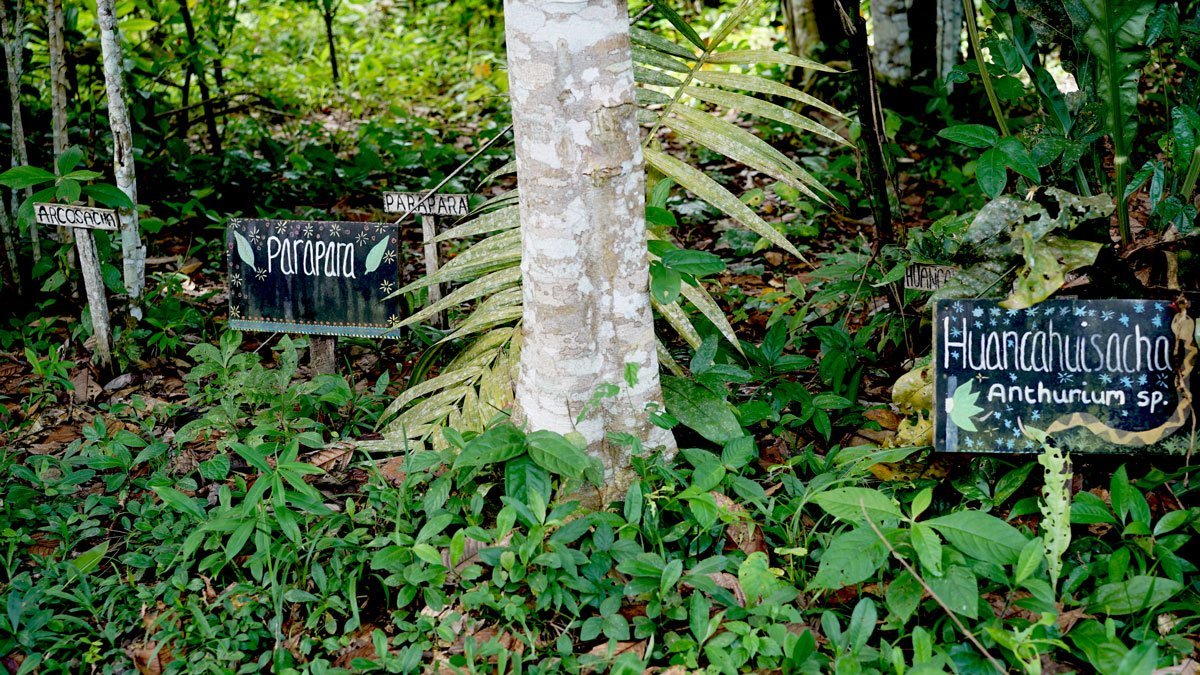 [Especial fotográfico] Comunidad nativa Boca Pariamanu: Paraíso de ...