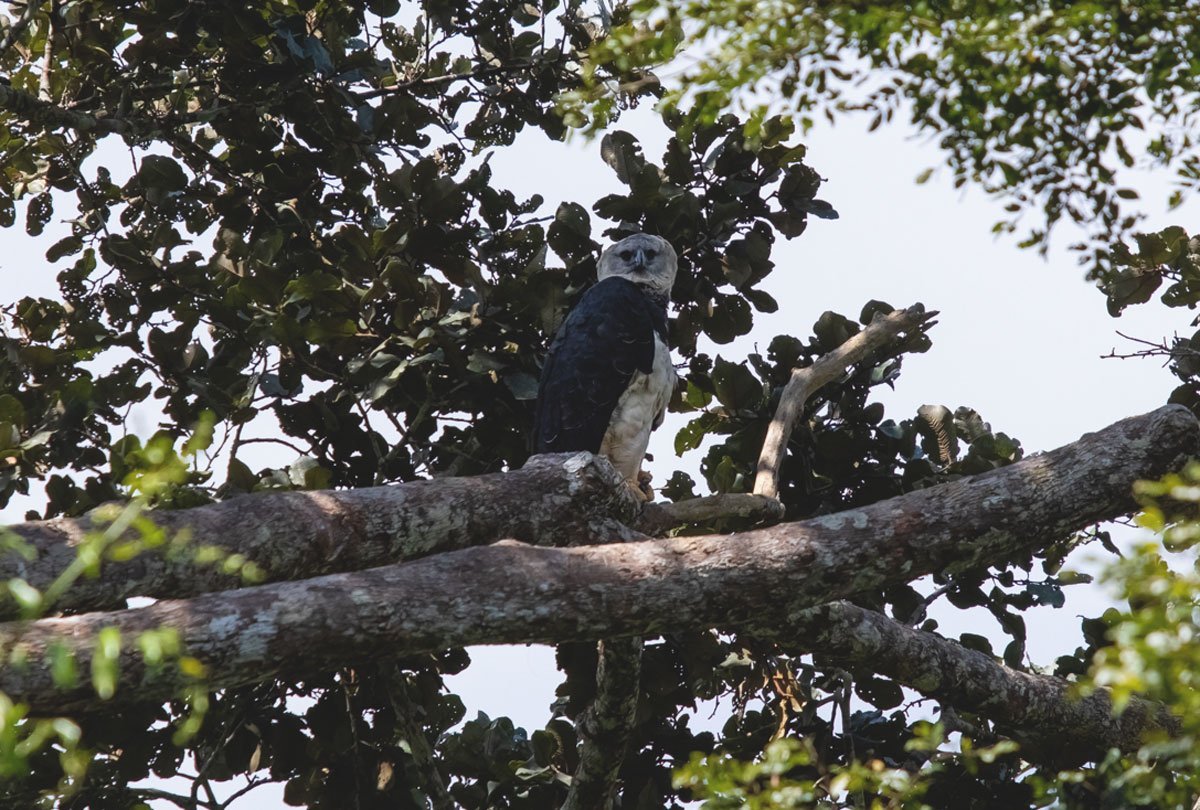 [Especial fotográfico] Comunidad nativa Boca Pariamanu: Paraíso de ...
