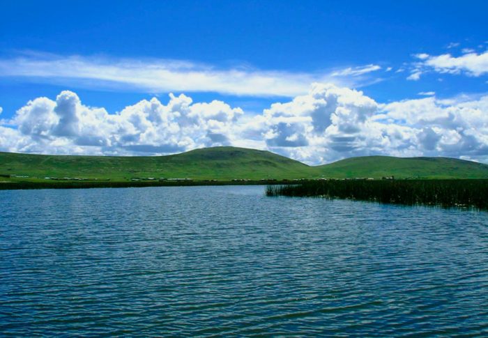 Lago Junín: cinco décadas de descuido | Escribe Marc Dourojeanni | SPDA ...