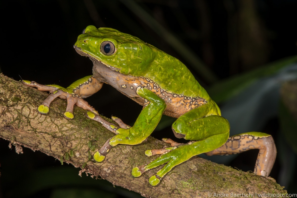 [Fotos] Parque Nacional Bahuaja Sonene celebra 24 años de creación