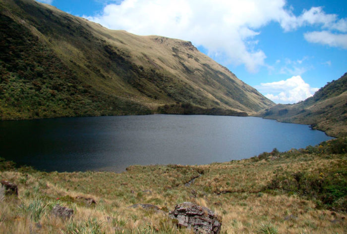 Promueven la conservación de los páramos de Piura por ser importantes ...