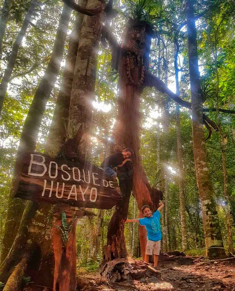 Amazon Forever Biopark: conexión con la naturaleza a minutos de la ciudad de Iquitos
