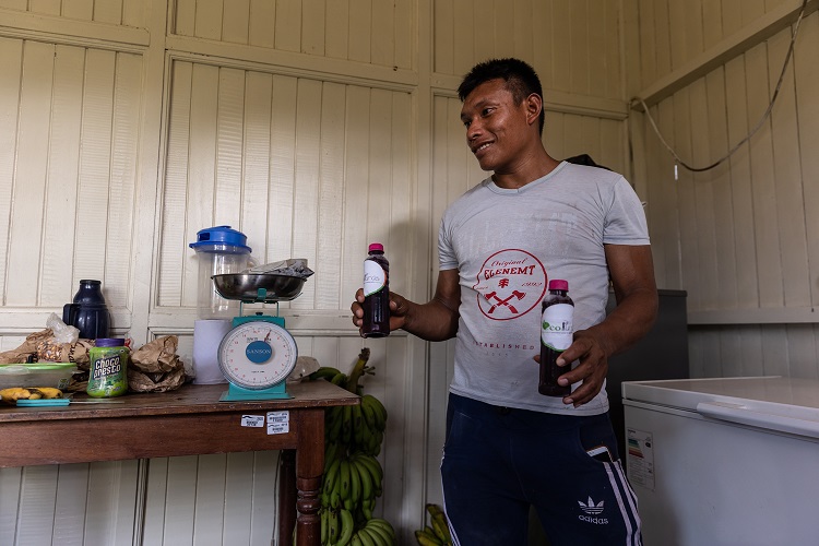 Fruto ancestral: indígenas huni kuin de Purús aprovechan el huasaí de ...