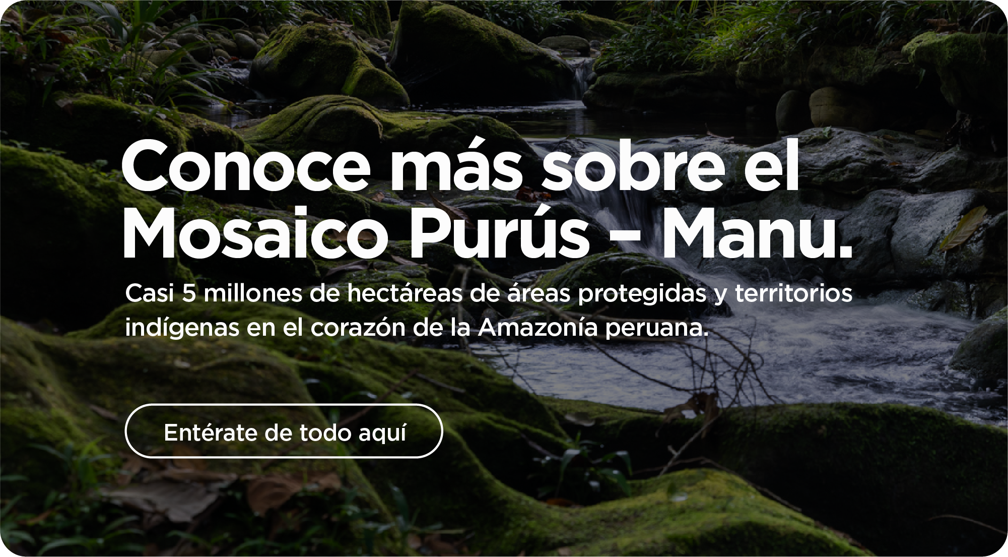 [Infografía] Conoce qué son las Metas Aichi para la Diversidad ...