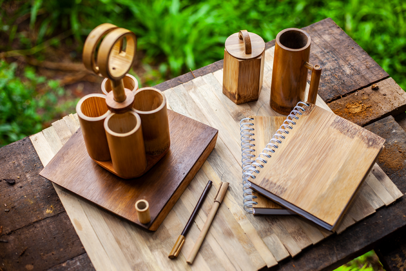 Estudio logra identificar 70 especies de bambú en todo el Perú