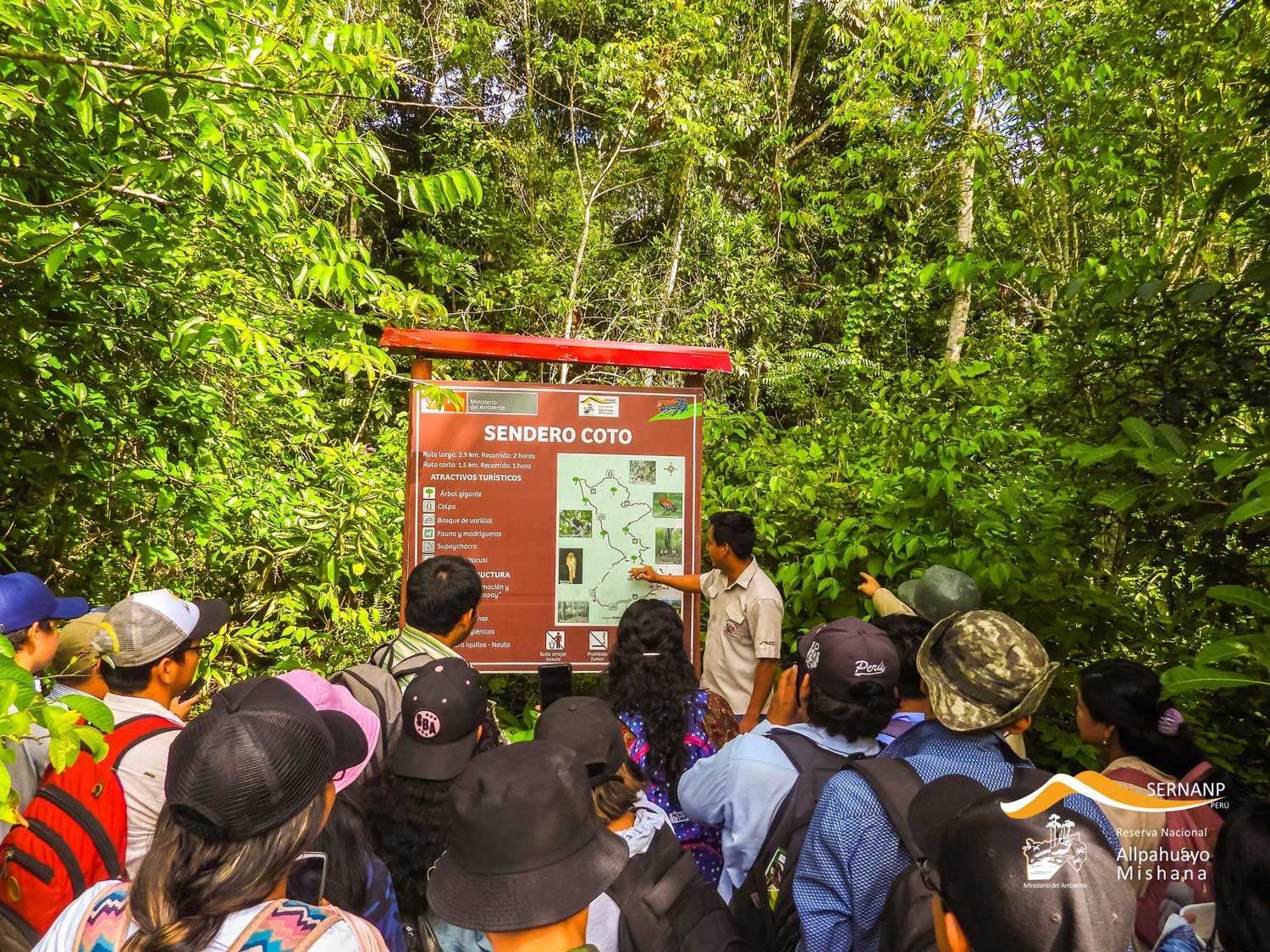 Conoce Allpahuayo Mishana, un área natural protegida a minutos de Iquitos