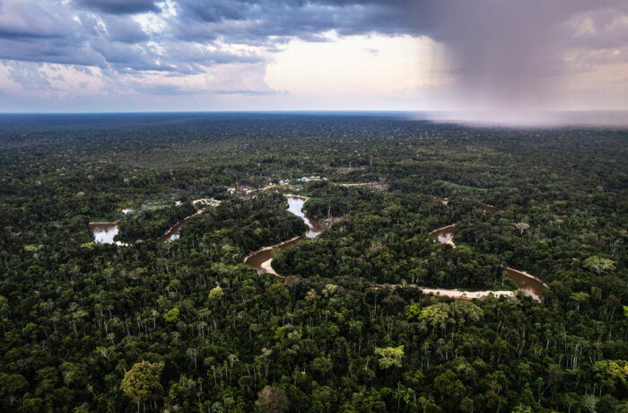Interfluvio Tapiche Blanco, corazón de la Amazonía: ¿por qué es ...