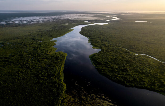Interfluvio Tapiche Blanco, corazón de la Amazonía: ¿por qué es ...