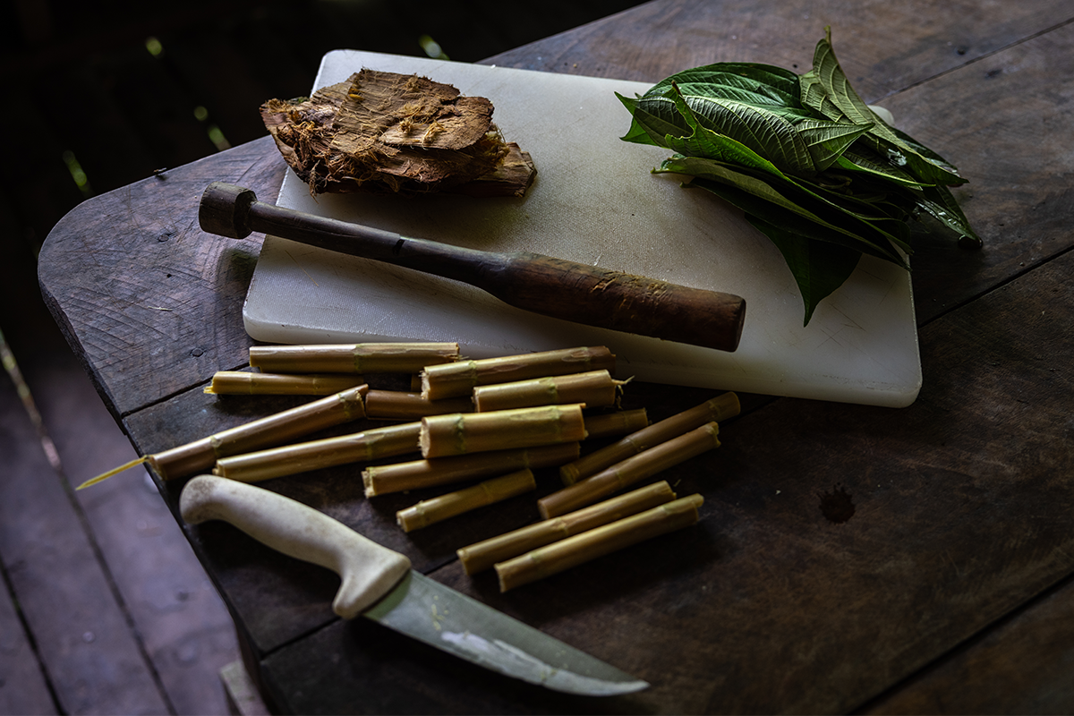 Alberto Inuma, el líder indígena amahuaca que preserva el uso de ...